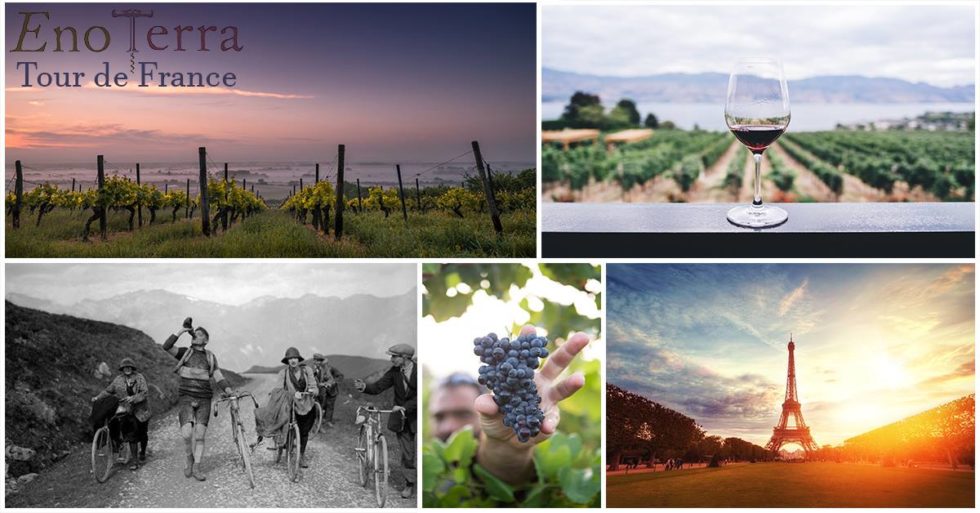 Tour de France Wine Tasting in Kingston | Jersey Bites